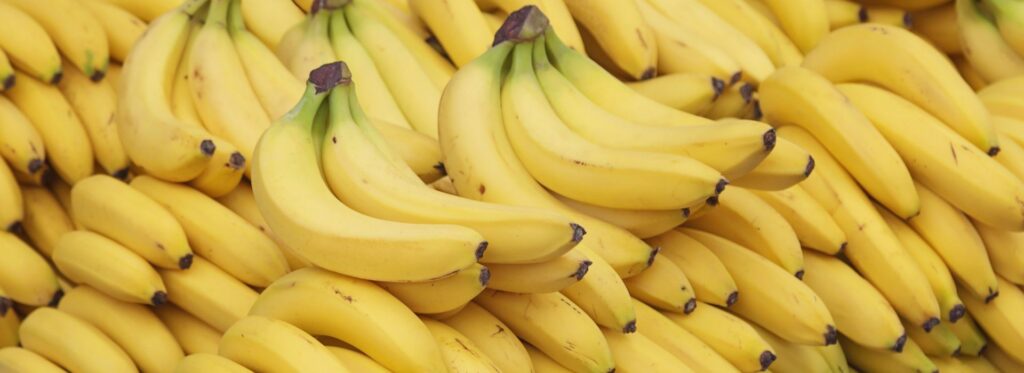 Supplemental Nutrition Assistance Program | We Got You Illinois